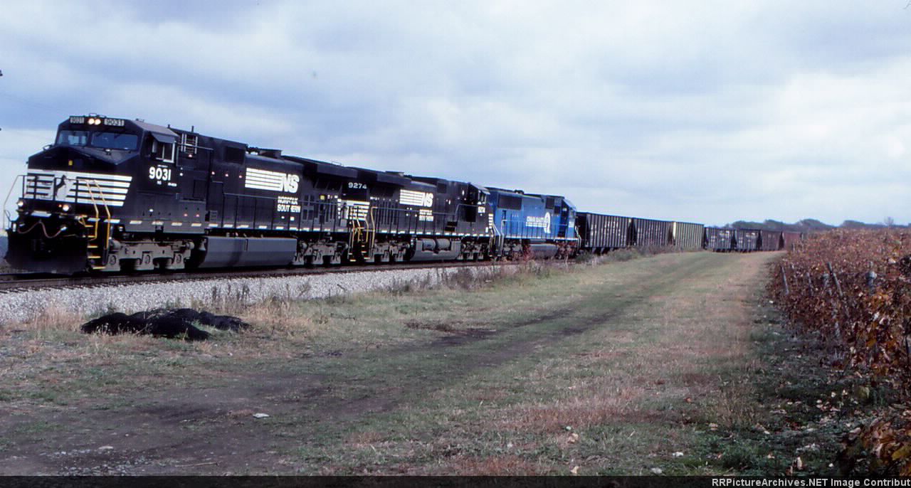 Rolling past the vineyards